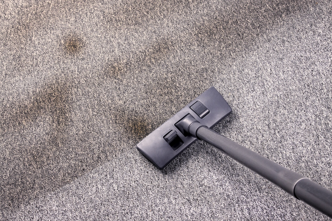 Professional Carpet Cleaning in Fort Collins, CO